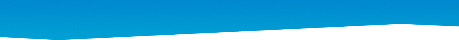 Asset Performance Management - Blue Mountain